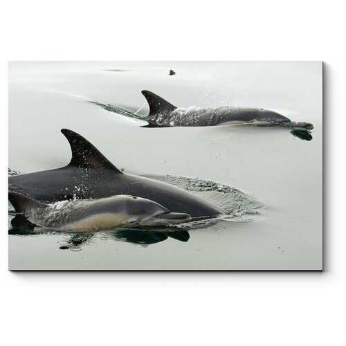 Модульная картина Счастливая семья дельфинов110x73