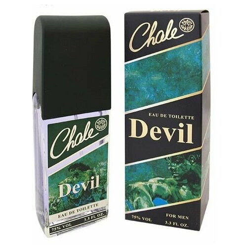 ALAIN AREGON (Positive parfum) Туалетная вода мужская CHALE DEVIL