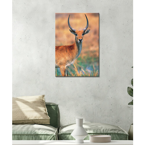 Картина - коричневая антилопа, антилопа , молодая антилопа, большие рога антилопы 50х70