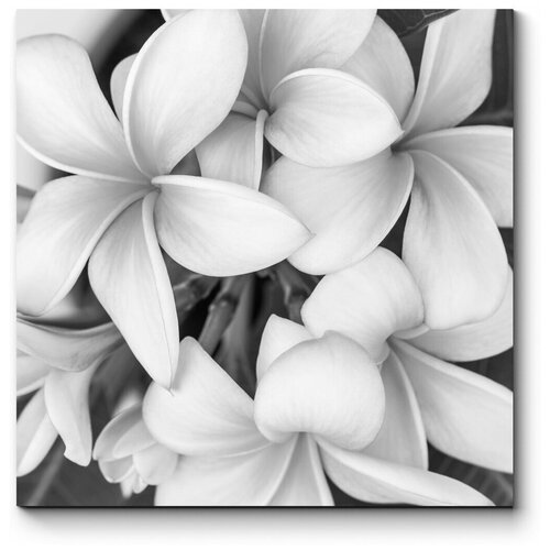 Модульная картина Аромат белых цветов 110x110