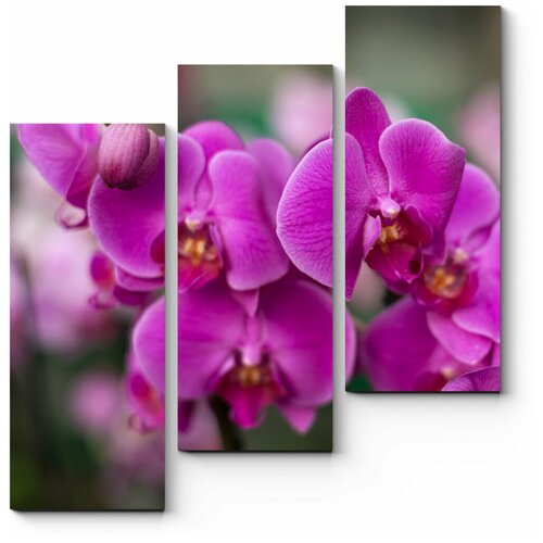 Модульная картина Прекрасные и нежные орхидеи 140x149