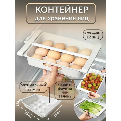 Контейнер для хранения яиц, фруктов, зелени, 26х18х5см, белый