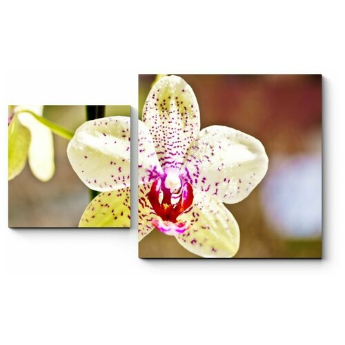 Модульная картина Тигровая орхидея 140x84