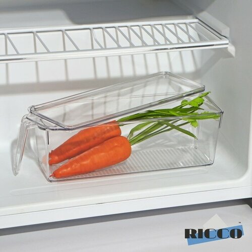 RICCO Контейнер для холодильника с крышкой и ручкой, 32×10×10 см