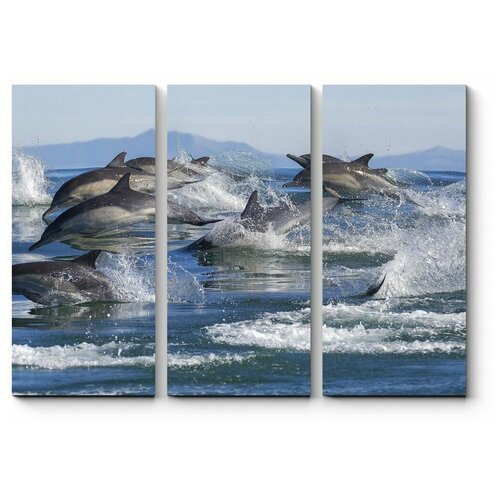 Модульная картина Семья дельфинов60x43