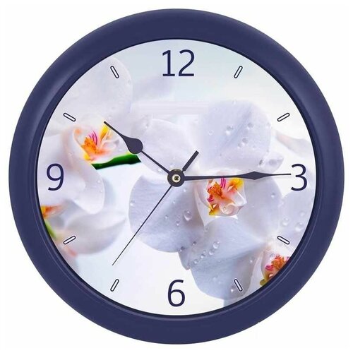 Часы настенные кварцевые , круглые, D 250 мм, орхидея