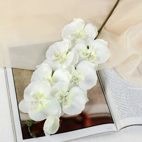 Poetry in flowers Цветы искусственные "Орхидея молди" 9х66 см, белый