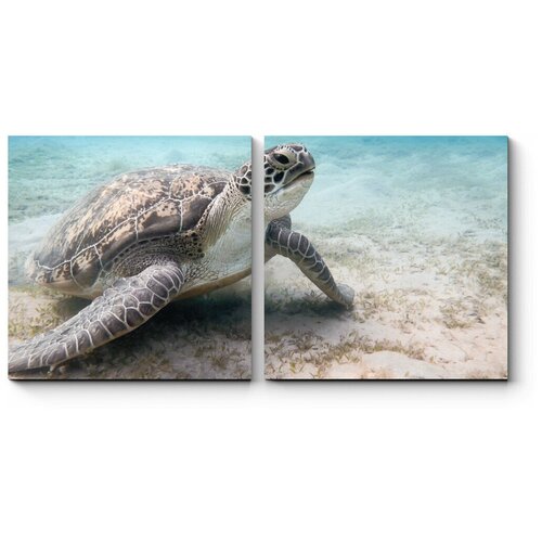 Модульная картина Чарующая подводная черепаха 80x40