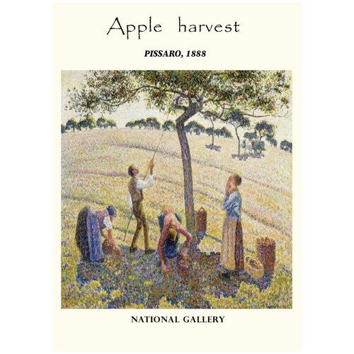 Постер / Плакат / Картина Камиль Писсарро - Урожай яблок 90х120 см в подарочном тубусе