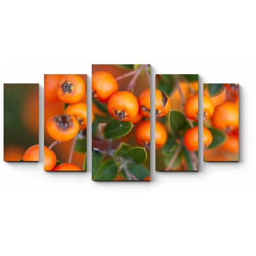 Модульная картина Спелые ягоды рябины 160x88