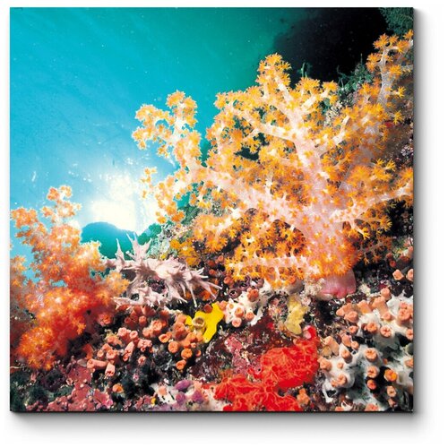 Модульная картина Яркий коралловый мир 90x90