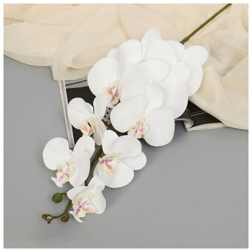 Цветы искусственные "Орхидея фаленопсис бархатистая" 10х90 см, белый