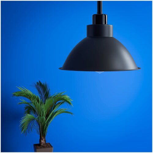 Подвесной светильник потолочный на кухню, в детскую комнату, в спальню GSMIN Loft Ring люстра в винтажном стиле железный 28 см. (Черный)