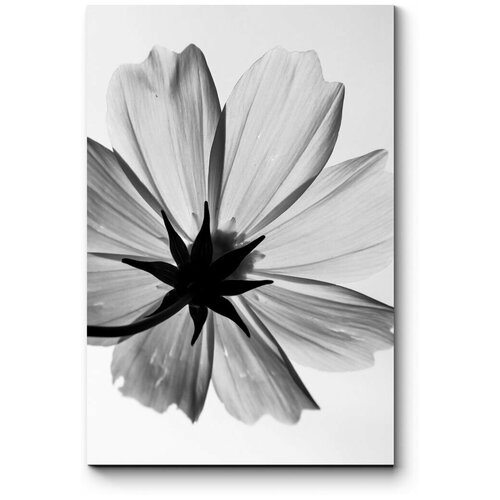 Модульная картина Монохромный цветок 30x45