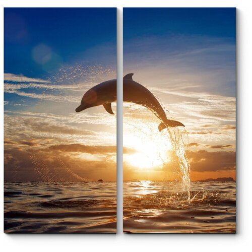 Модульная картина Завораживающий прыжок дельфина на закате 90x90