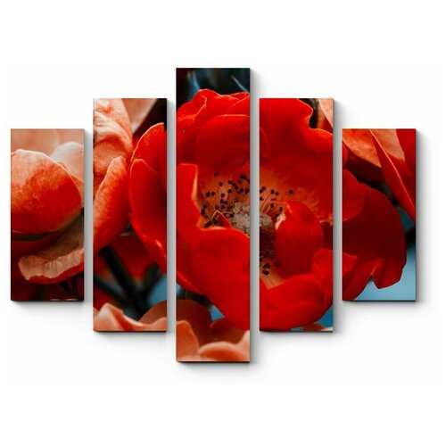 Модульная картина Необычная роза75x60