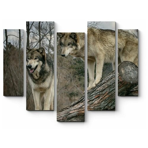 Модульная картина Волки в осеннем лесу 151x123