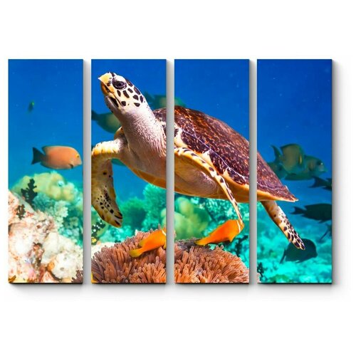 Модульная картина Черепаха в коралловом рифе100x75