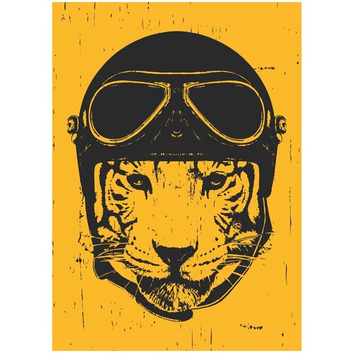 Постер / Плакат / Картина Тигр 50х70 см в раме