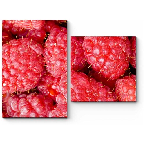 Модульная картина Крупные ягоды малины 60x45