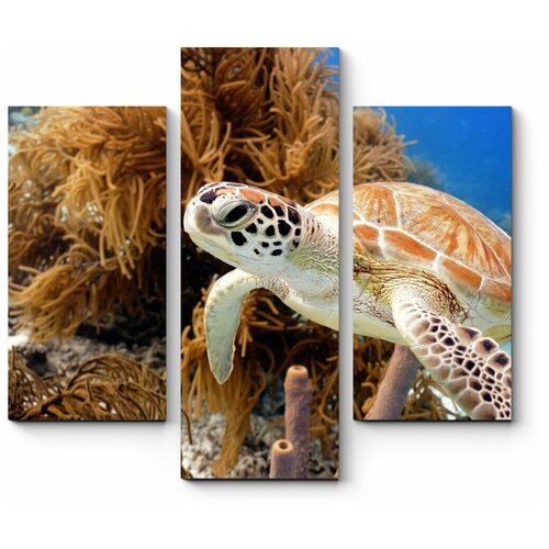 Модульная картина Черепаха, плывущая в коралловом рифе 140x126