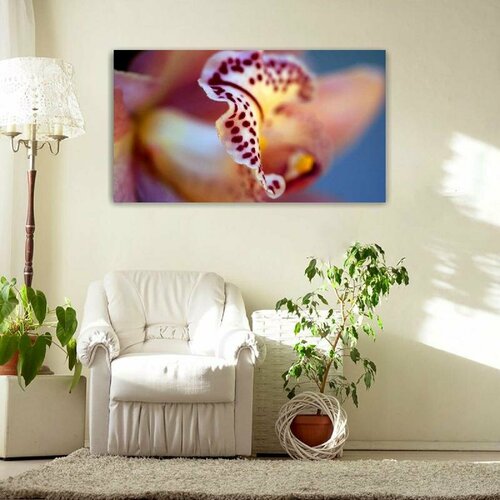 Картина на холсте 60x110 LinxOne "Цветок, орхидея, phalaenopsis, фаленопсис" интерьерная для дома / на стену / на кухню / с подрамником