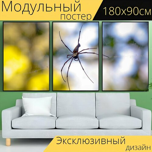 Модульный постер "Паук, паукообразный, животное" 180 x 90 см. для интерьера