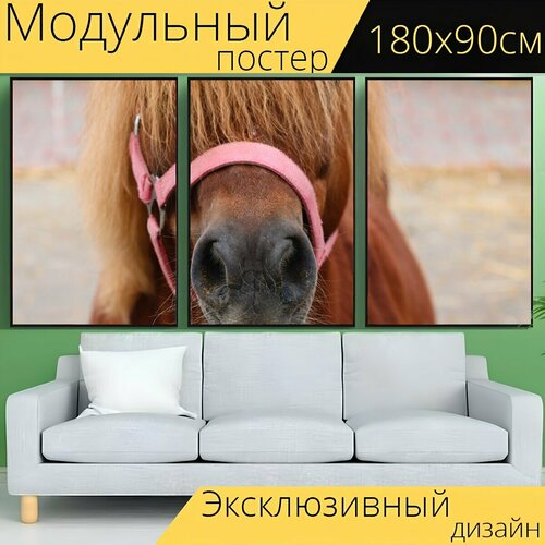 Модульный постер "Пони, коричневый, лошадь" 180 x 90 см. для интерьера