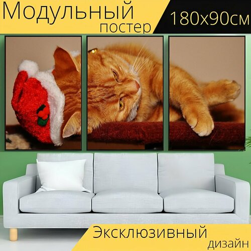 Модульный постер "Кот, похмелье, красный" 180 x 90 см. для интерьера