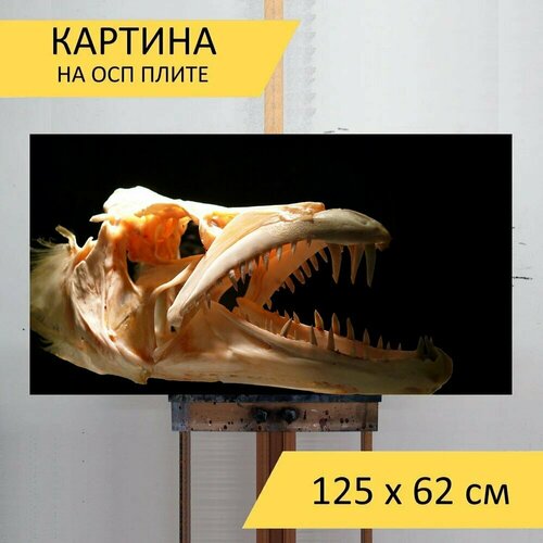 Картина на ОСП 125х62 см. "Череп, хищник, зубы" горизонтальная, для интерьера, с креплениями