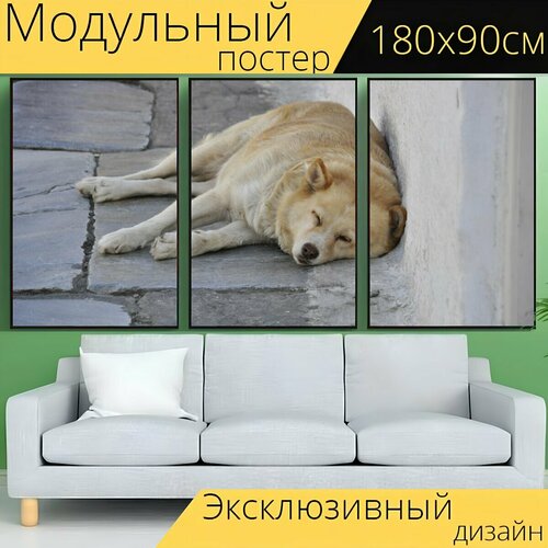 Модульный постер "Греция, собака сна усталость, горячие" 180 x 90 см. для интерьера