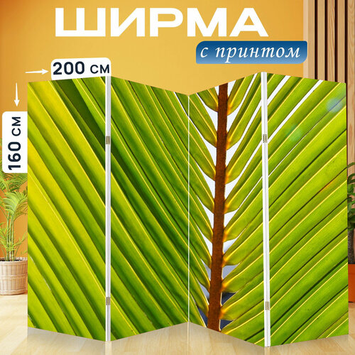 Ширма перегородка с принтом "Пальма, зеленый, ладонь" на холсте - 200x160 см. для зонирования, раскладная