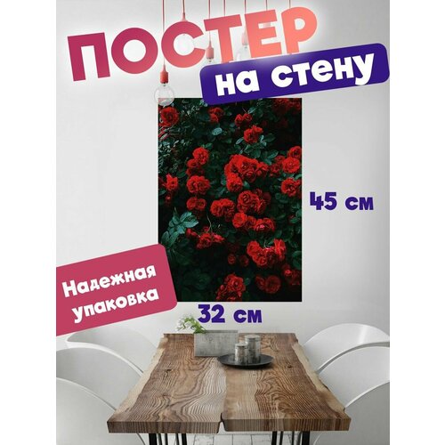 Постер 32х45 Эстетика роз