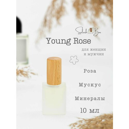 Young Rose духи стойкие