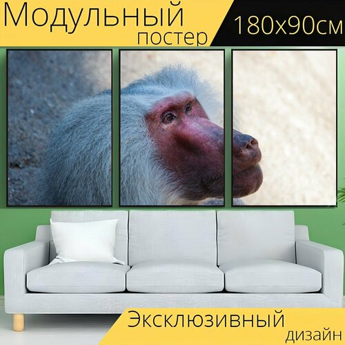 Модульный постер "Бабуин, обезьяна, животное" 180 x 90 см. для интерьера