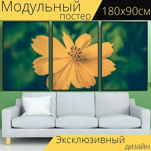 Модульный постер "Космея, винтаж, цветок" 180 x 90 см. для интерьера