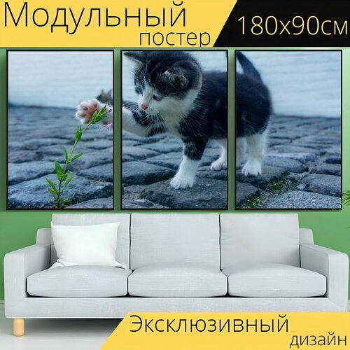 Модульный постер "Кошка, цветок, котенок" 180 x 90 см. для интерьера