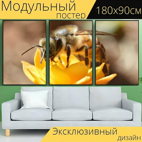 Модульный постер "Макрос, пчела, цветочная пыльца" 180 x 90 см. для интерьера