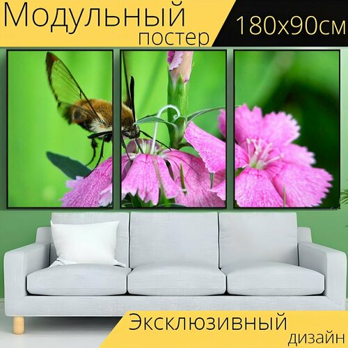 Модульный постер "Бабочка, сфинкс, природа" 180 x 90 см. для интерьера
