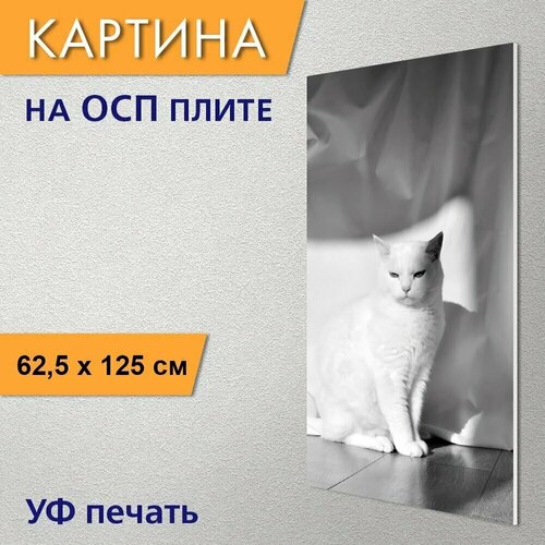 Вертикальная картина на ОСП "Кошка, животное, кошка портрет" 62x125 см. для интерьериа