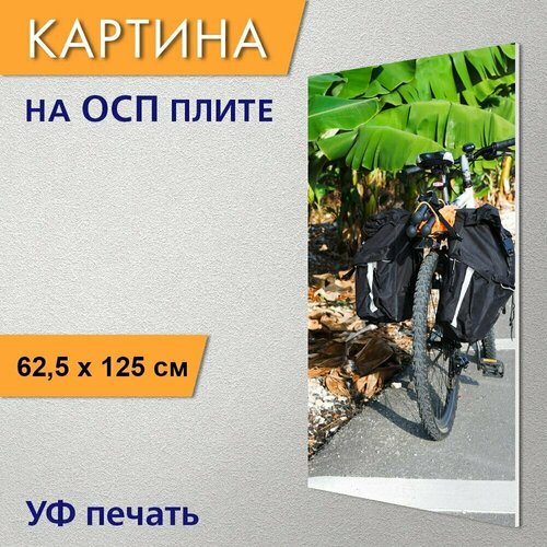 Вертикальная картина на ОСП "Велосипед, езда на велосипеде, цикл" 62x125 см. для интерьериа