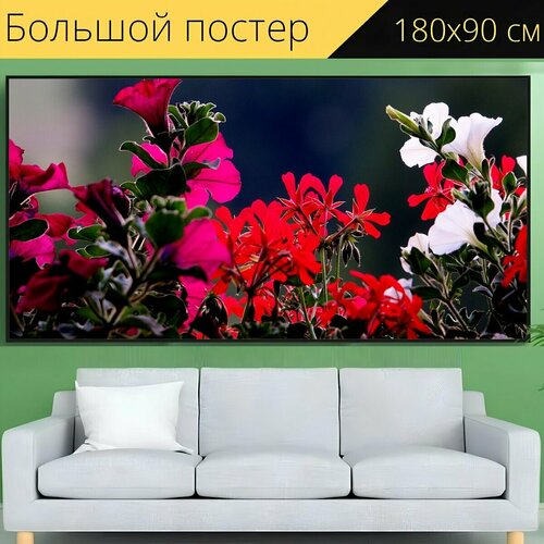 Большой постер "Цветок, балконные растения, подсветка" 180 x 90 см. для интерьера