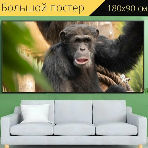 Большой постер "Обезьяна, животное, шимпанзе" 180 x 90 см. для интерьера
