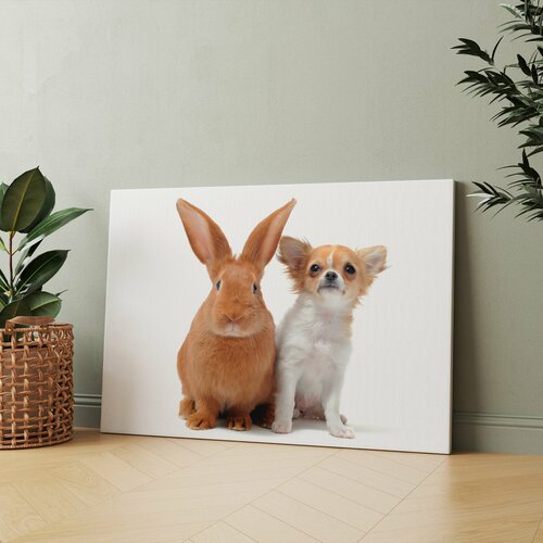 Картина на холсте "Маленькая собака и коричневый и белый кролик" 60x80 см. Интерьерная, на стену.