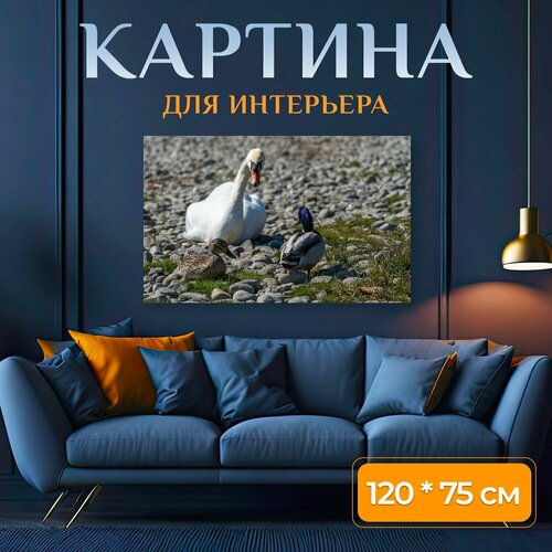 Картина на холсте "Животные, птицы, лебедь" на подрамнике 120х75 см. для интерьера