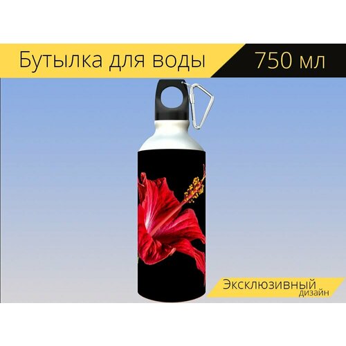 Бутылка фляга для воды "Гибискус, цвести, цветок" 750 мл. с карабином и принтом