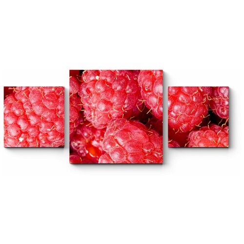 Модульная картина Крупные ягоды малины 200x86