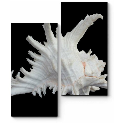 Модульная картина Морская раковина100x125