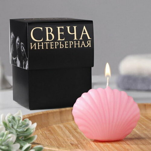 Свеча фигурная в подарочной коробке "Ракушка", 3.2х4.5 см, розовая