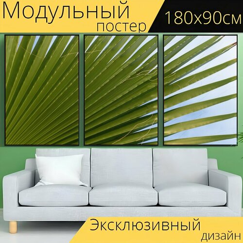 Модульный постер "Веерная пальма, листья, предметы" 180 x 90 см. для интерьера